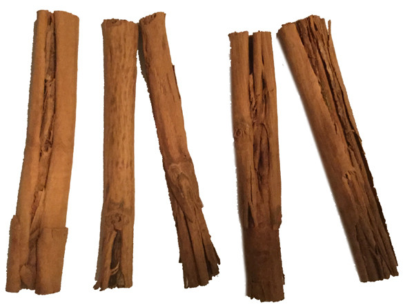 Ceylon Cinnamon Large | The Bird Toy Store