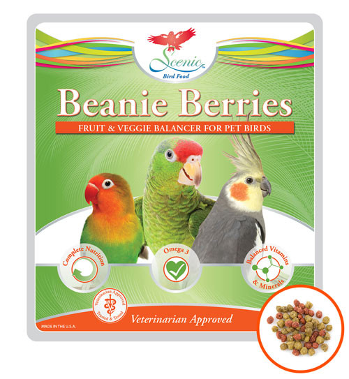 Scenic Beanie Berries 2 lb | The Bird Toy Store