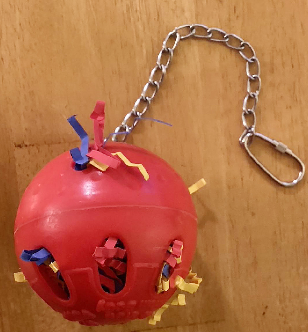Da Bomb Bird Toy | The Bird Toy Store