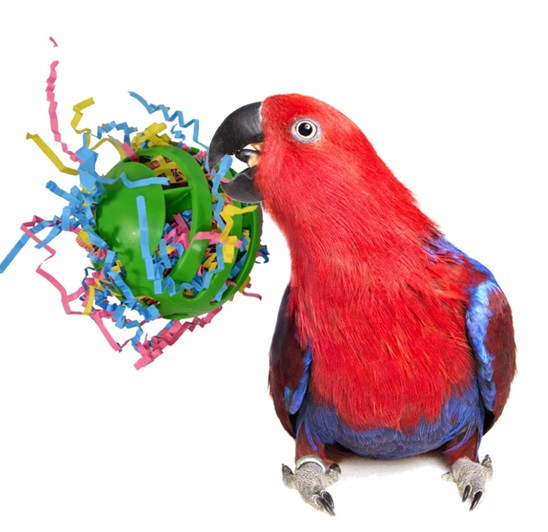 Stuffed Waffle Ball | The Bird Toy Store