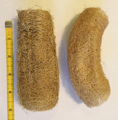 Loofa For Bird toys | The Bird Toy Store