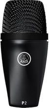 AKG P2 | High-Performance Dynamic Bass Microphone