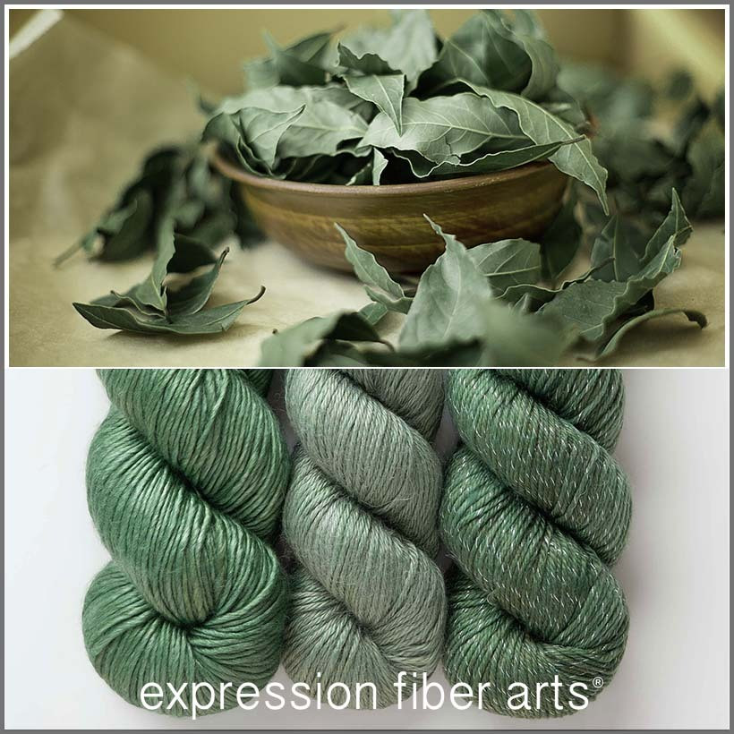 Leafy Hues 3-Skein Kit - Expression Fiber Arts