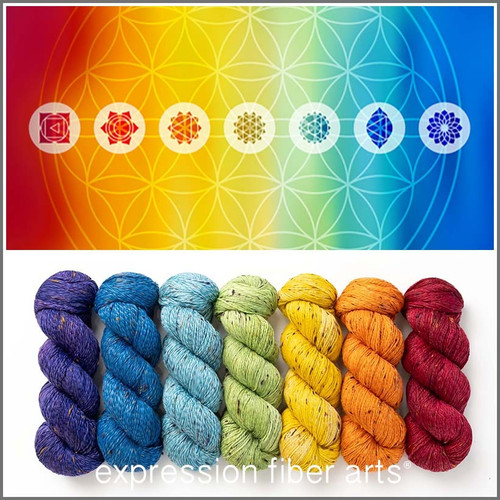 Pre-Order Chakra Hues 'TWISTED TWEED' SPORT KIT - Expression Fiber Arts