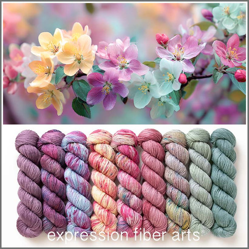 Pre-Order Wordless Wonder Hues 'FRONTIER' FINGERING KIT - Expression ...