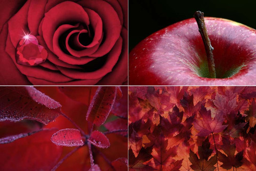 Kit 3 - November 2015 Insider's Yarn Club - RUBY RED - Expression Fiber ...