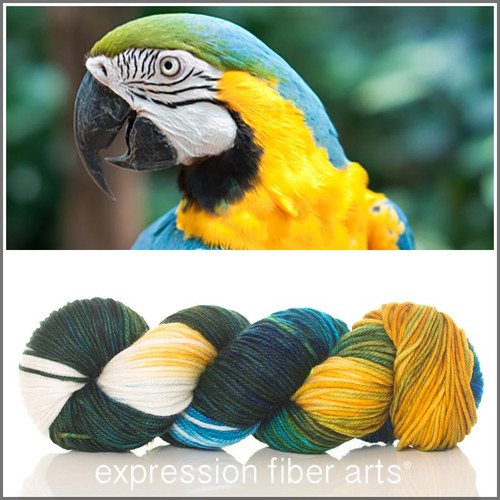 Blue and Yellow Macaw 'DEWY' DK - Expression Fiber Arts