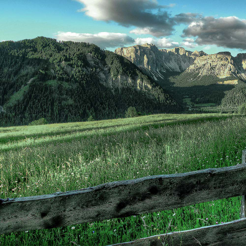 Balanced Earth – April 2024 Insider's Yarn Club - Expression Fiber Arts