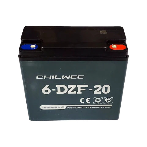 12V20AH 6-DZF-20 Battery Cell - For Gio Element - Lifesupply.ca ...