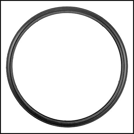 Pentair/Sta-Rite Sunglow/Brite Light Lens Gasket (#05501-0005)