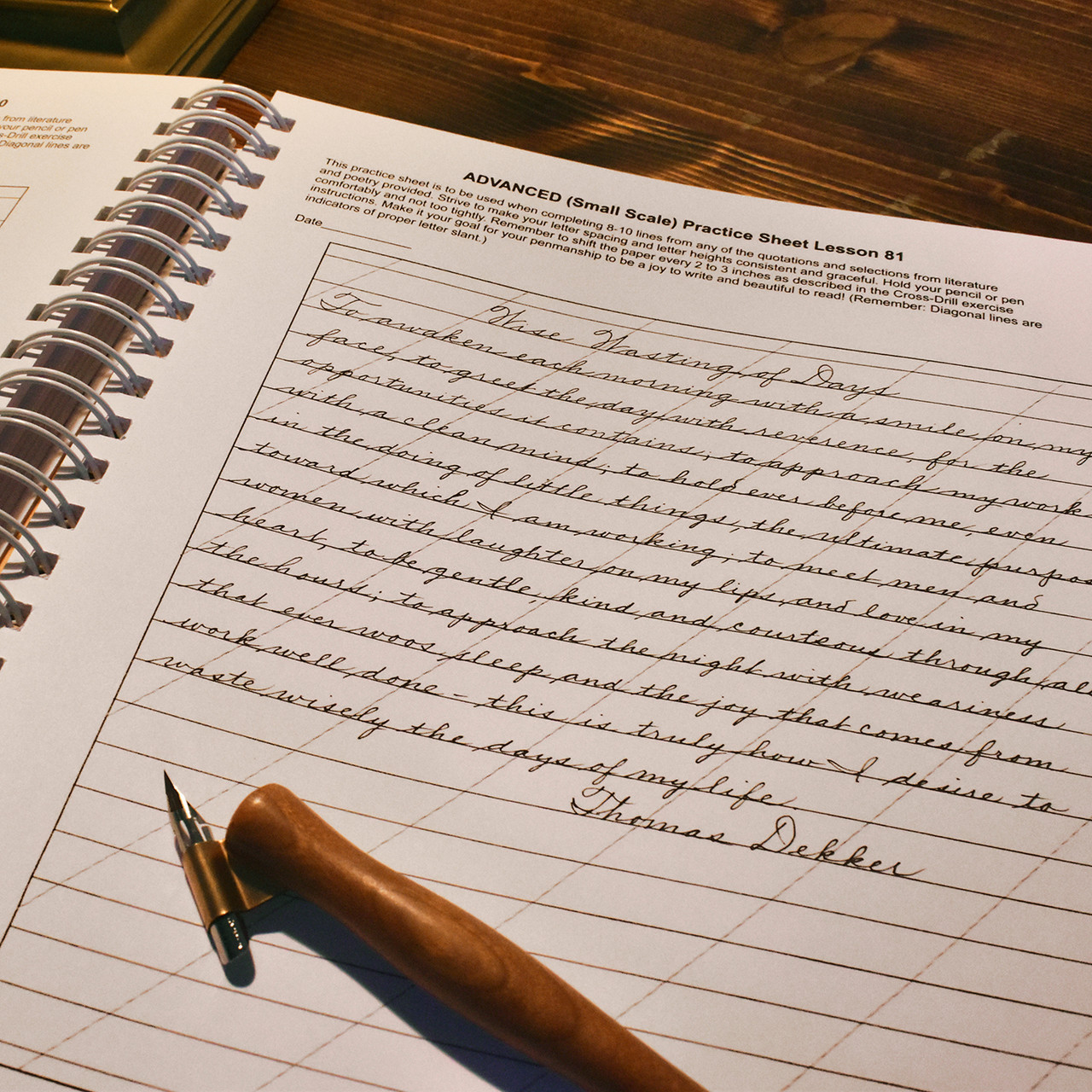 The Art of Cursive Penmanship by Michael R. Sull