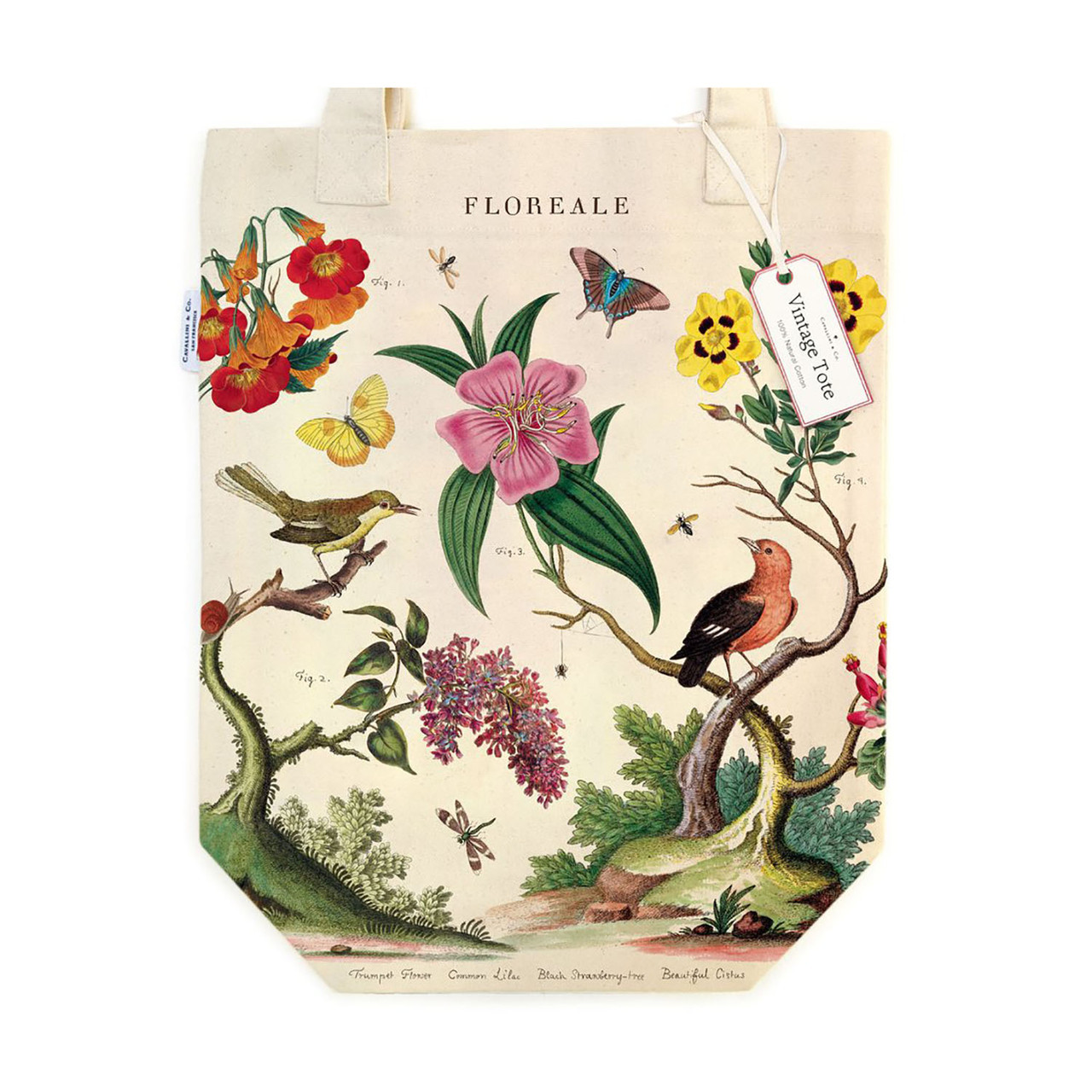 Cavallini & Co Apron, Citrus