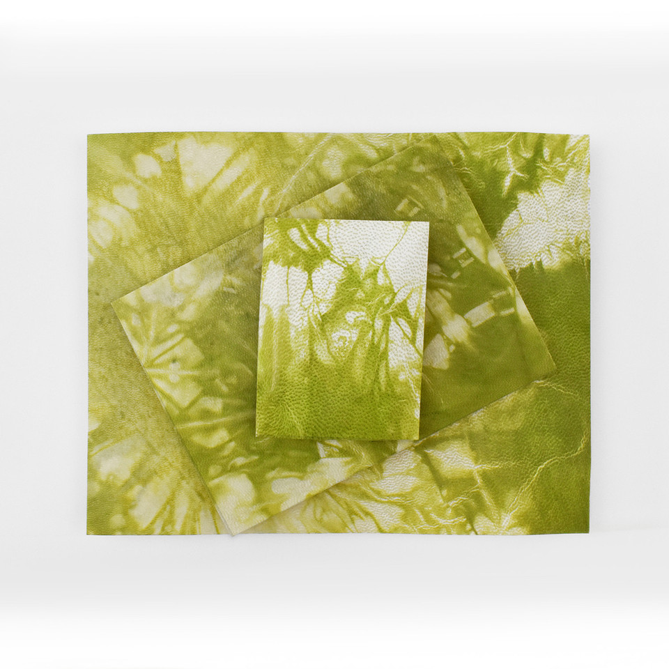 Paper - Popular - Pergamena Parchment - Paper and Ink Arts