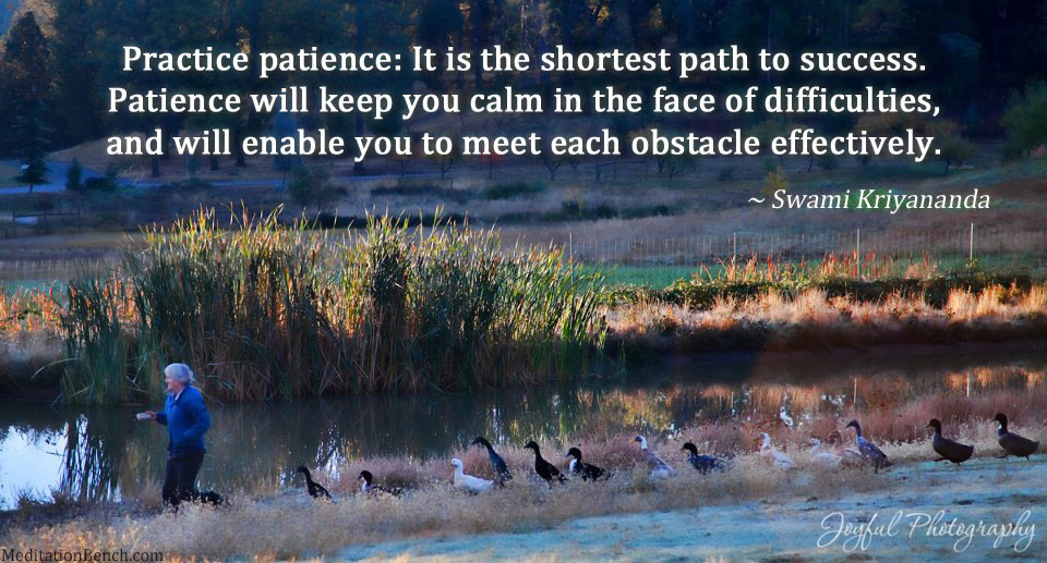 Practice Patience - MeditationBench.com