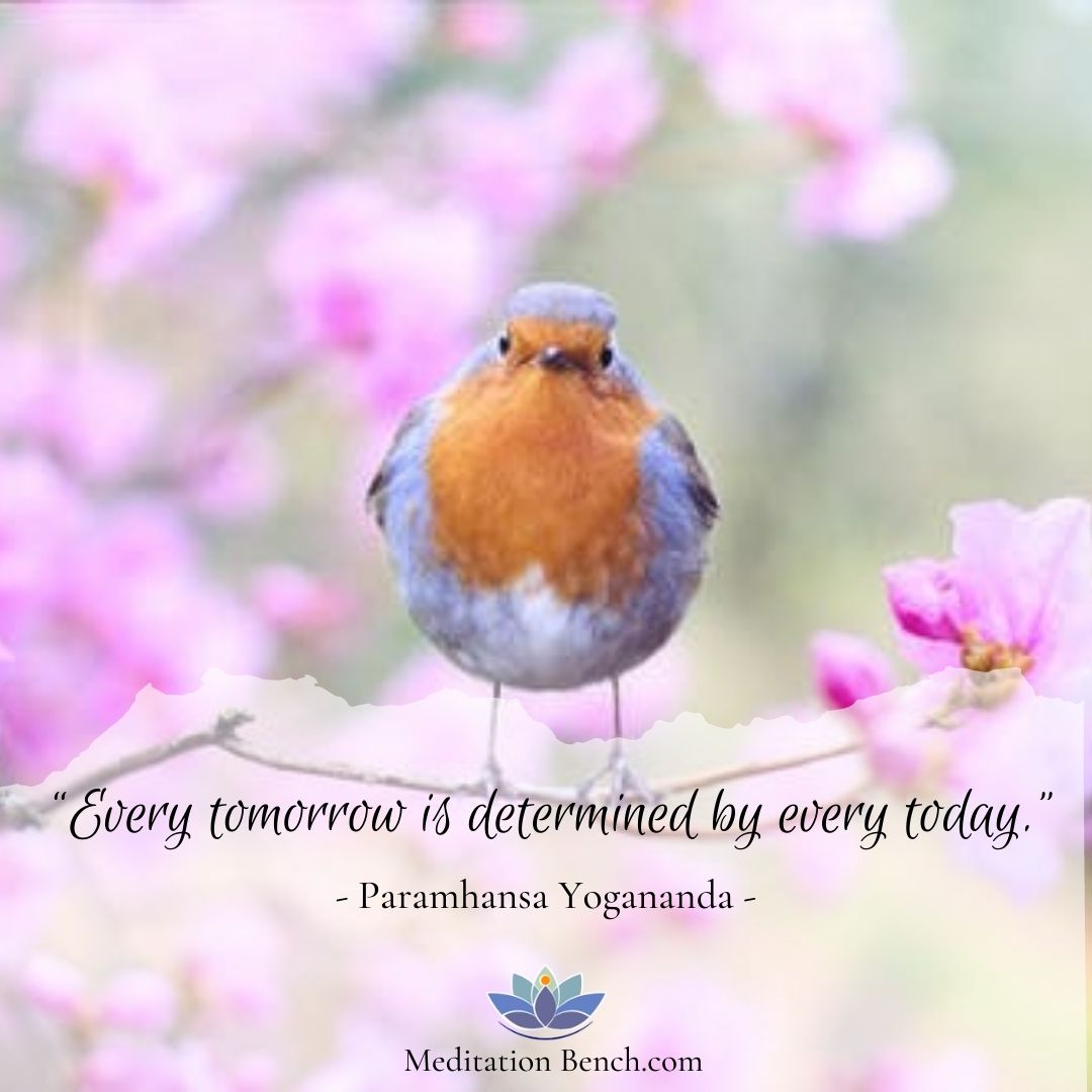 Living in the Present Moment - MeditationBench.com