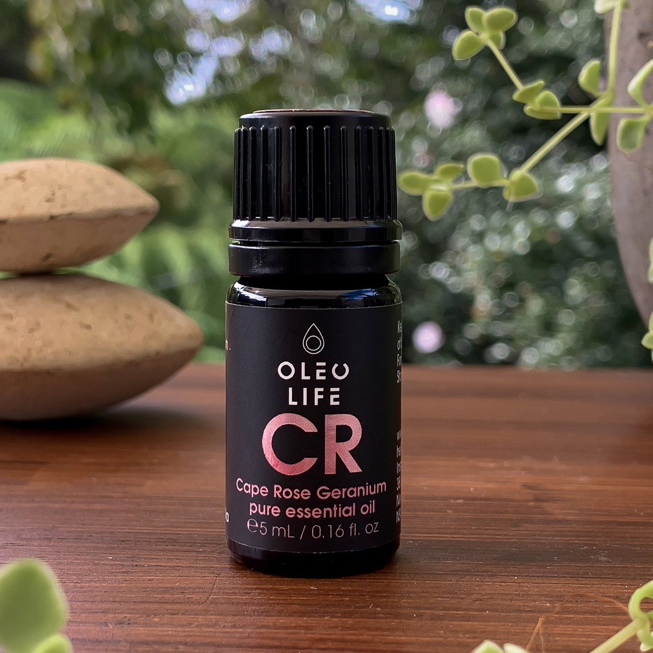 Organic Cape Rose Geranium Essential Oil | Oleu Life | Australia