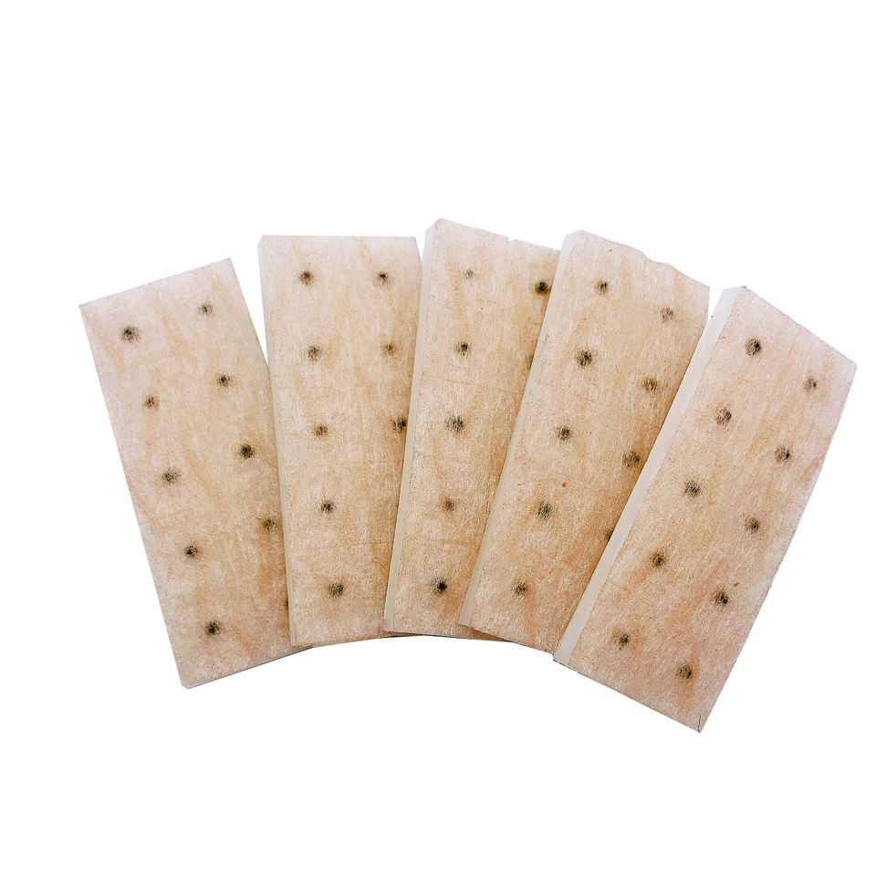 Ear Tacks, Ear Seeds, Magnetic Pellets | Acurea