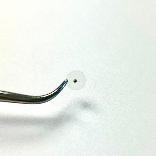 Sakamura Magrain Ion Pellets for Both Ear & Body Points | Acurea USA