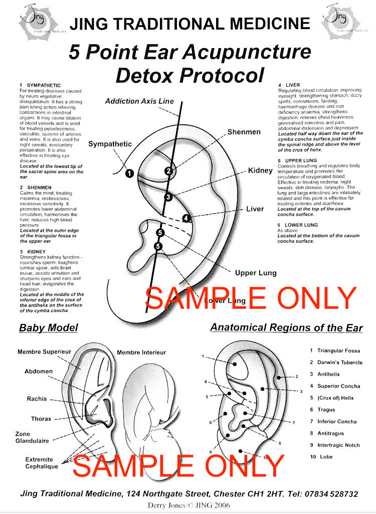 Jing Traditional Medicine 5 Point Detox Ear Chart | Acurea USA