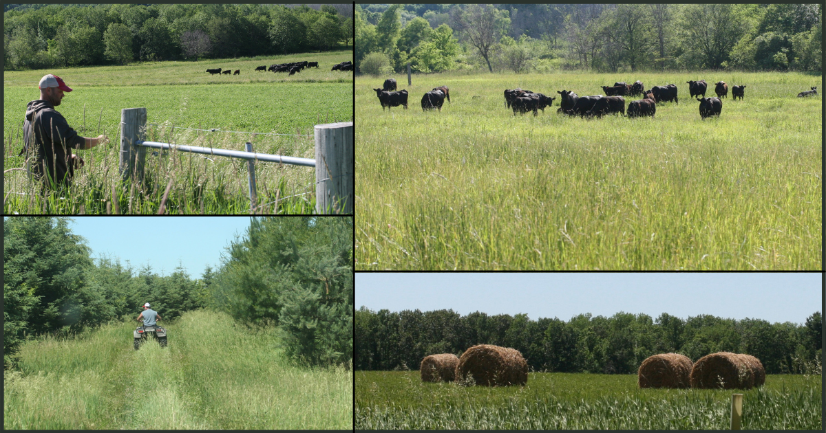Visiting Local Family Farms that Provide Sustainable & Humanely Raised ...
