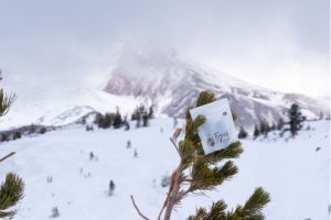 The Winter Solstice Above the 45th Parallel - Tweedle Farms