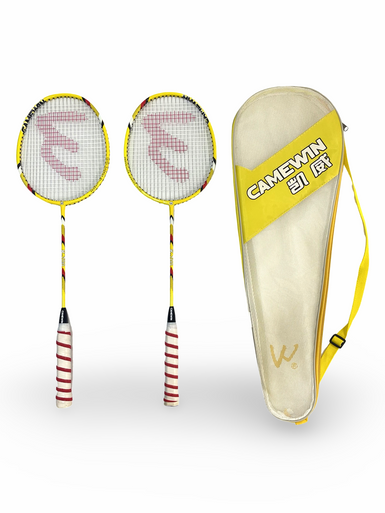 Titan 2 Rackets Badminton Set with a Carrying Case