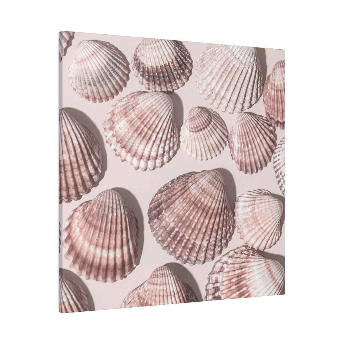 Coastal Cowgirl Decor: Seashell Canvas Wall Art | Coastal Breeze