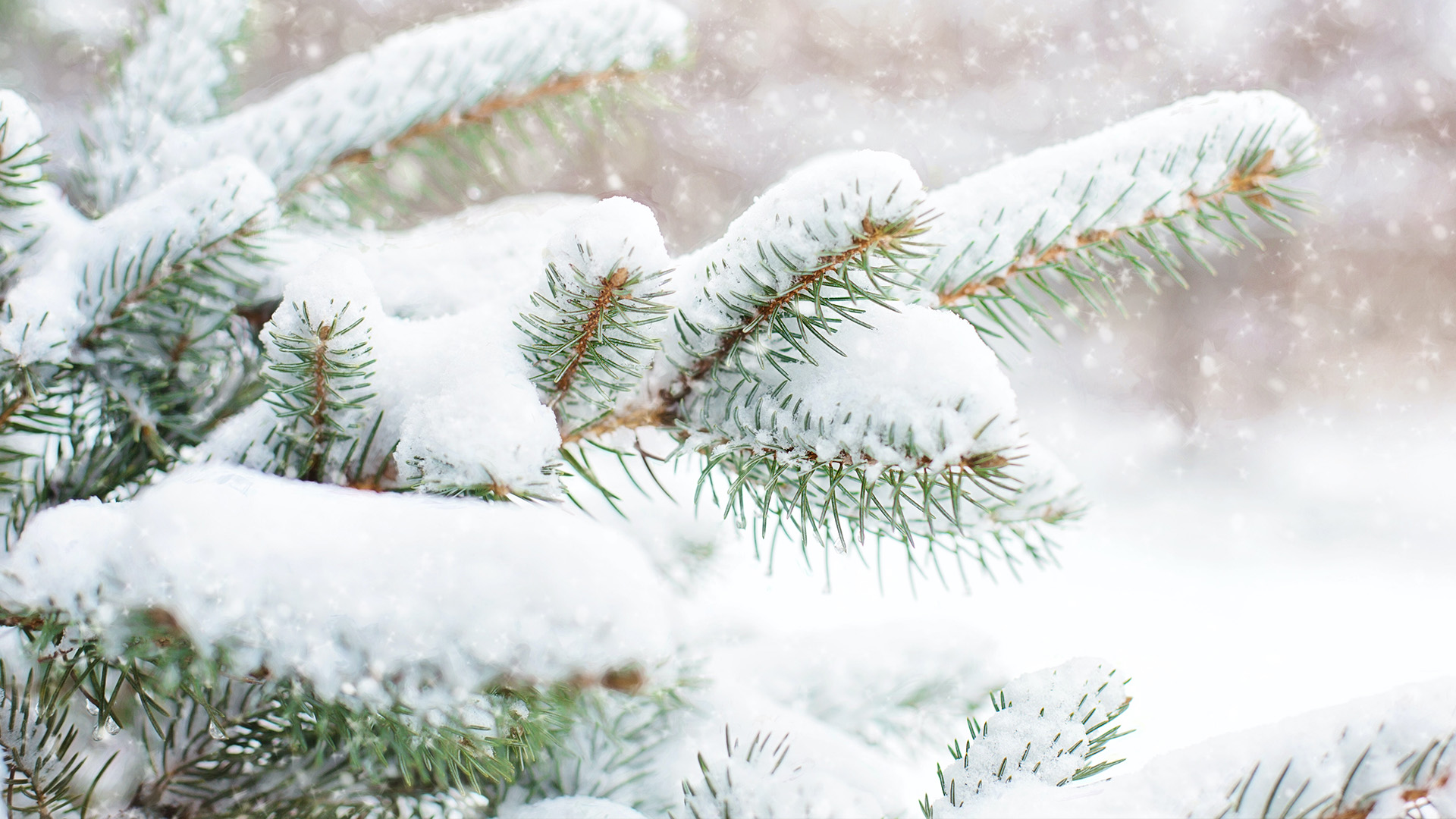 Top Tips for Winterizing Your Outdoor Water Fixtures - NuvoH2O