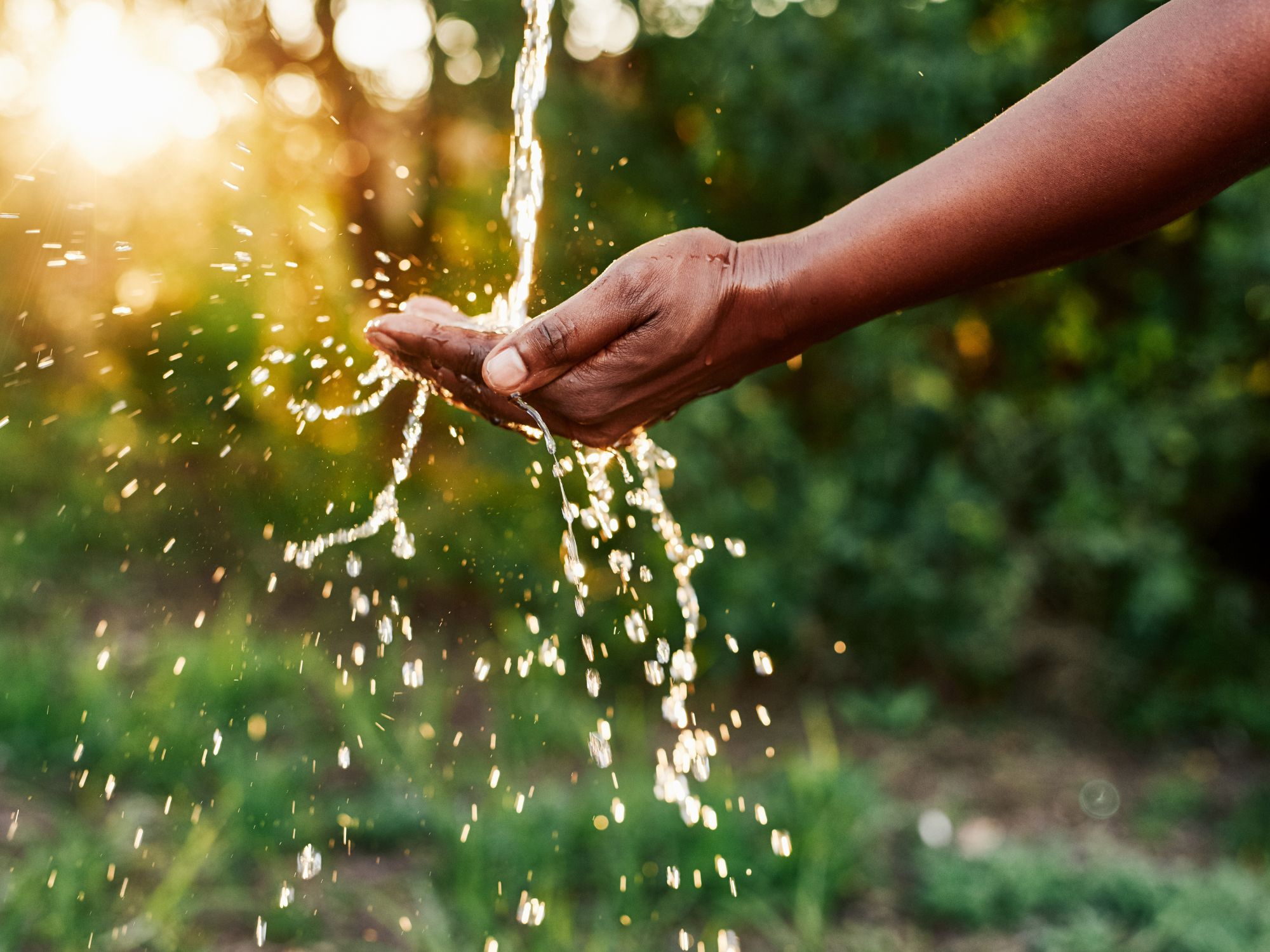 Top 5 Ways to Conserve Water This Summer - NuvoH2O