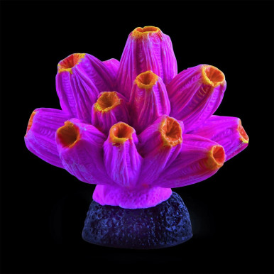 RA Barnacle - Pink/Yellow - drugsupplystore.com