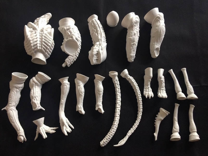 Alien Xenomorph Warrior 1/6 vinyl model kit figures