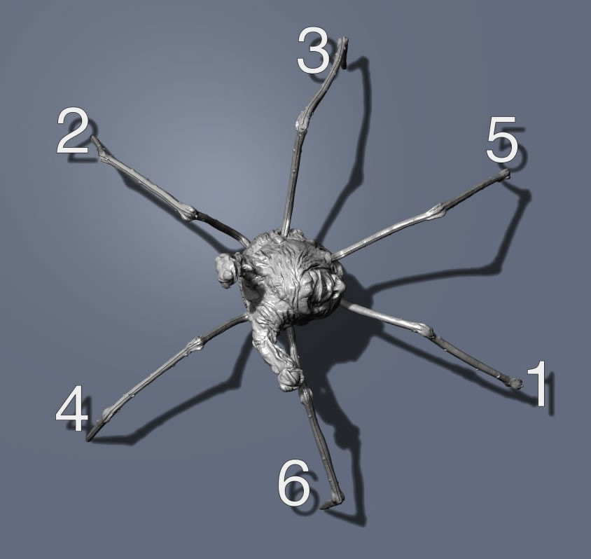 The Thing Spider Head - STL File for 3D Print