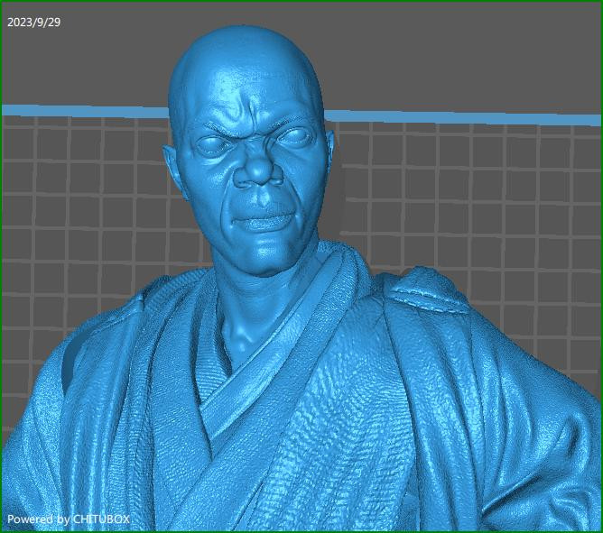 Mace Windu Star Wars Bust - STL File 3D Print