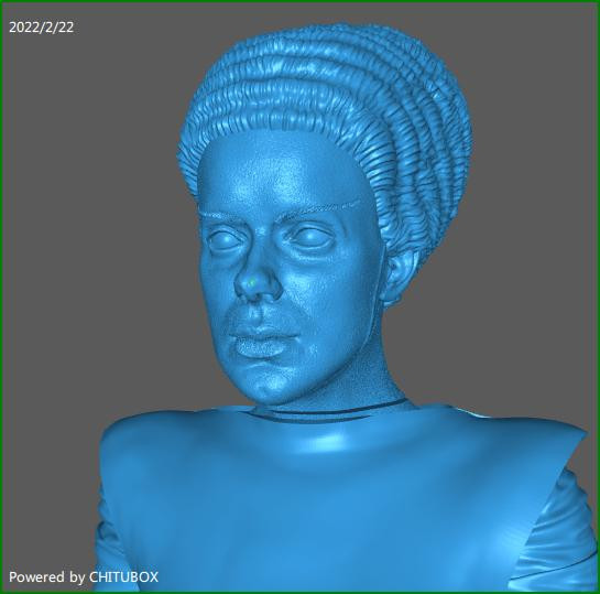 Bride of Frankenstein Universal Classic Monster - STL File for 3D Print