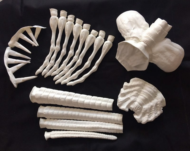 Alien Queen Facehugger Life Size 1/1 vinyl model kit figures