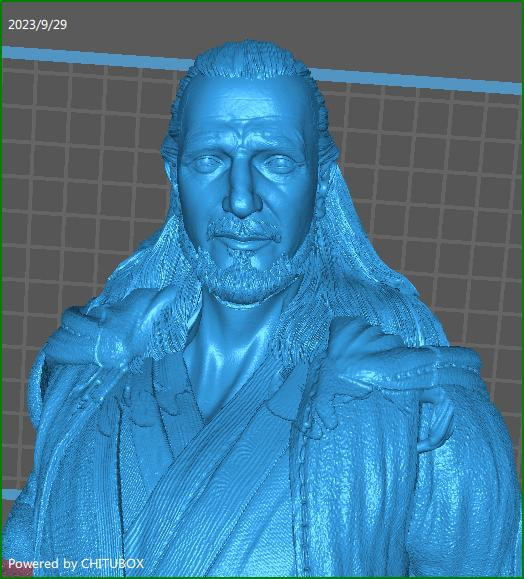 Quin Gon Jinn Star Wars Bust - STL File 3D Print