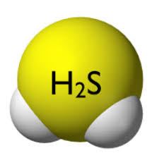 5 crucial facts you need to know about H2S... - Gas Monitor Point