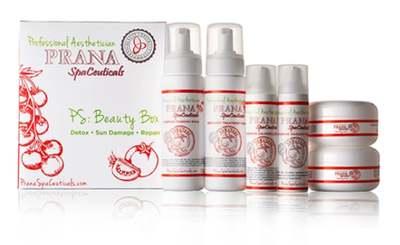 Esthetician Facial Starter Kits | Buy Wholesale I Best Brands