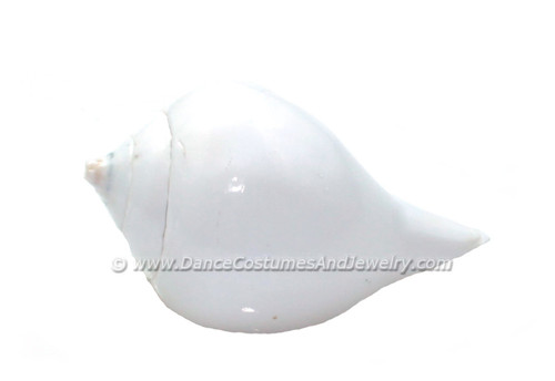 Conch Shell