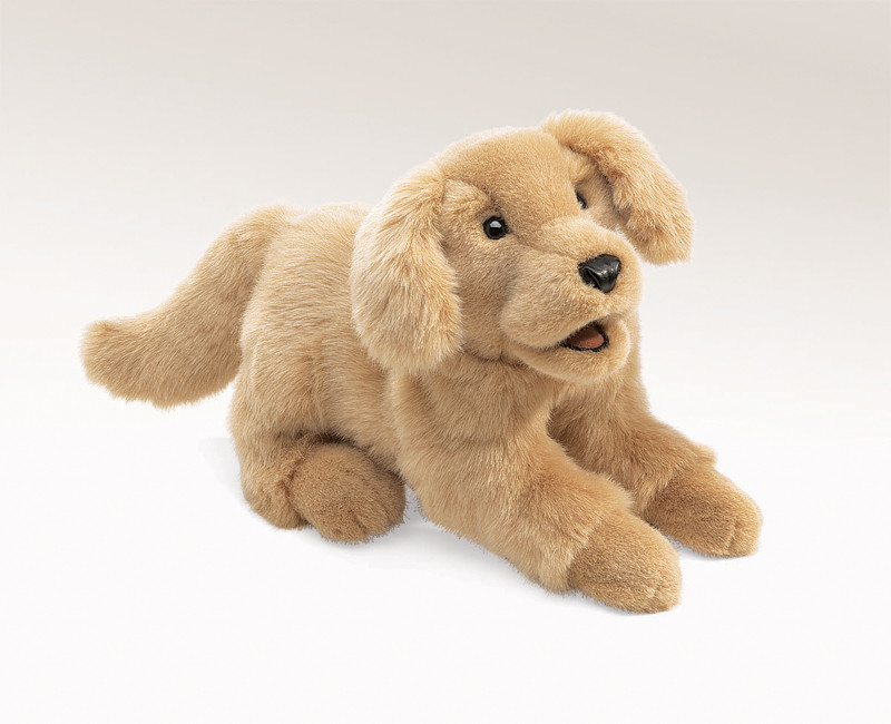 Folkmanis Golden Retriever Puppy Puppet on Sale! Animal Puppets