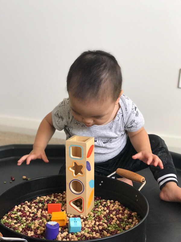 Djeco Boitabasic Shape Sorter Sale! Fast Australia Shipping