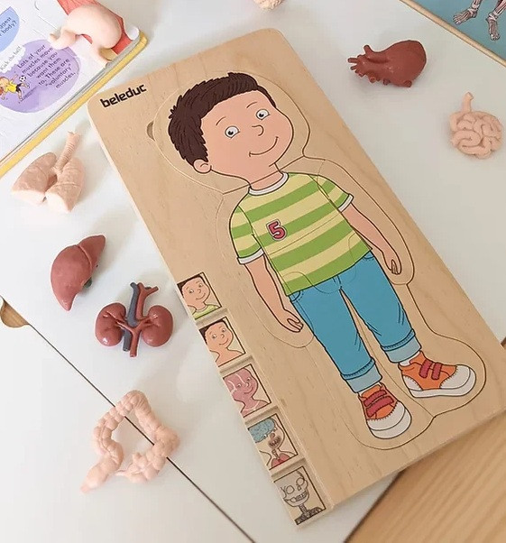 Beleduc My Body Puzzle - Boy | Anatomy Puzzle | Early Childhood Sale!