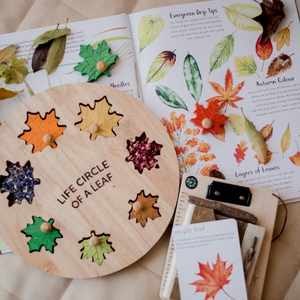 Qtoys Leaf Circle Of Life Puzzle on Sale! Fast Shipping