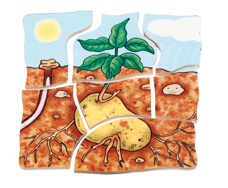 Beleduc Multilayer Puzzles - Potato | Early Childhood Sale!