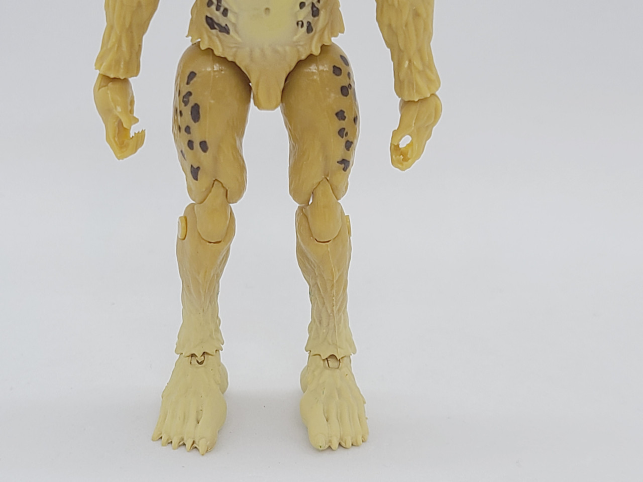 Vitruvian Armory - AWOK - Ahaw Kin Body