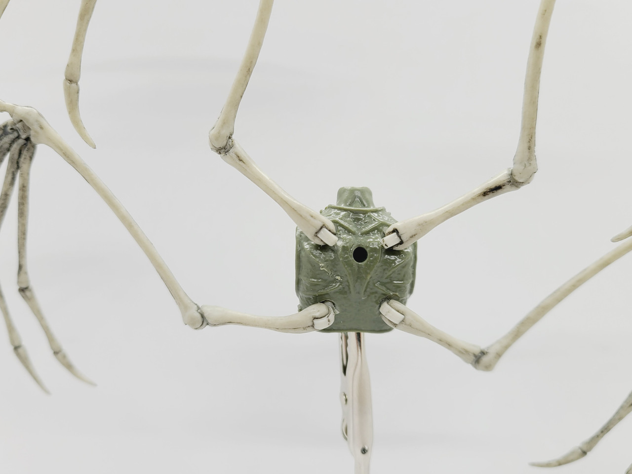 Vitruvian Armory - Vitruvian HACKS Boss Fight Studio - DOUBLE WINGED ...