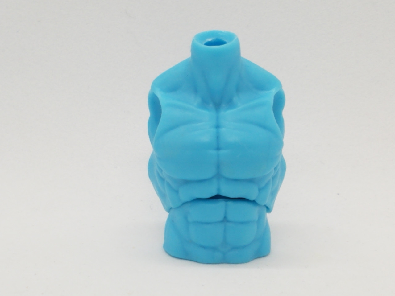 Sky Blue Male Torso - Vitruvian Armory