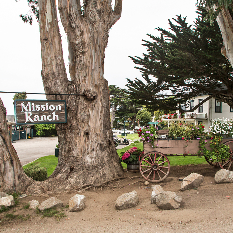 Mission Ranch Tree Sign