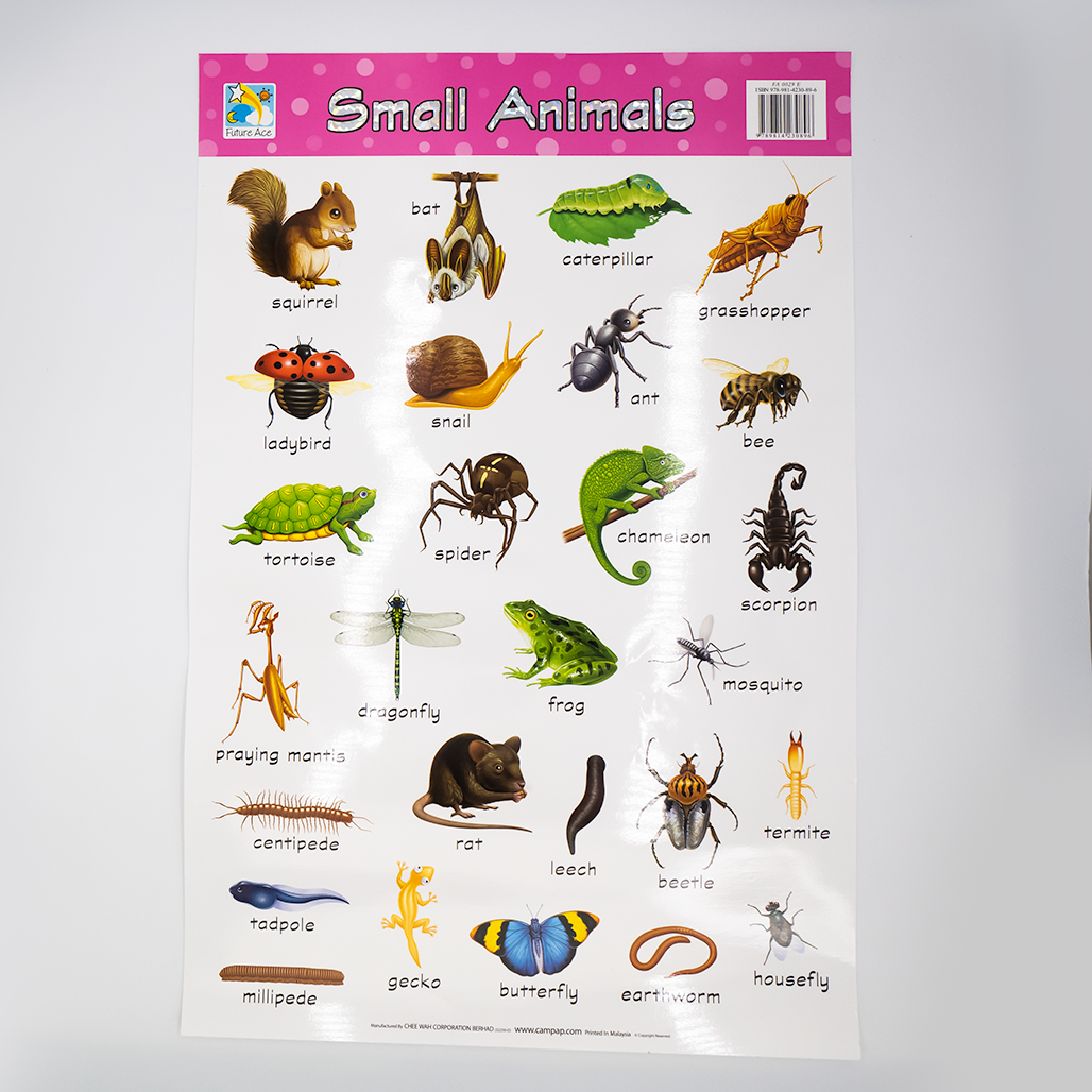 CHART WALL SMALL ANIMALS 143135 - TDC Limited