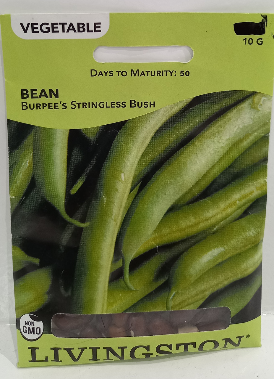 SEEDS BEAN BURPEE'S STRINGLESS 115824 - TDC Limited